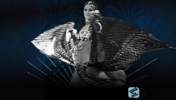 Learn Belly Dance Veil Work and Floor Work : A Guide - Suhaila.com